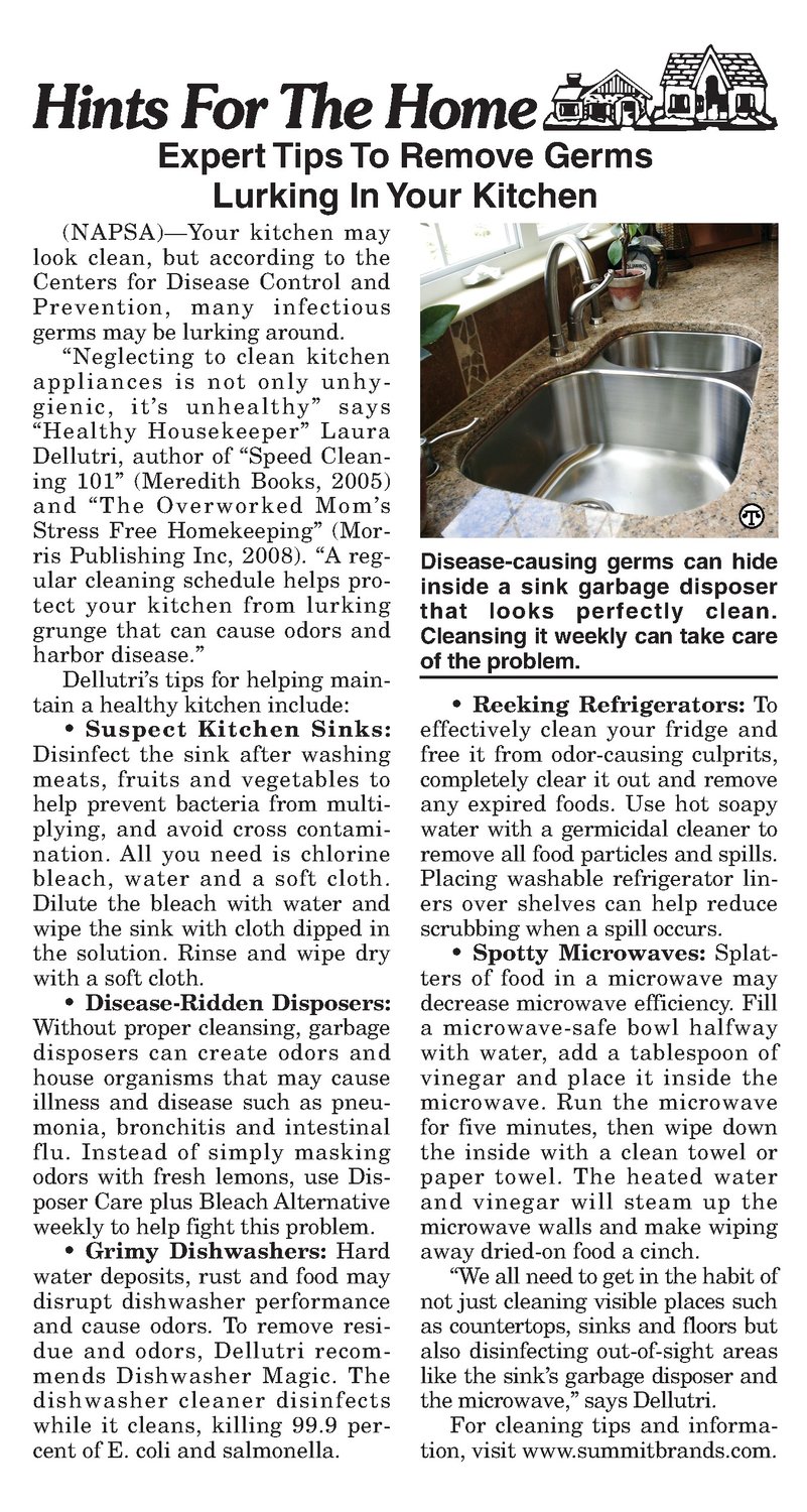 Expert Tips To Remove Germs Lurking In Your Kitchen | North American ...